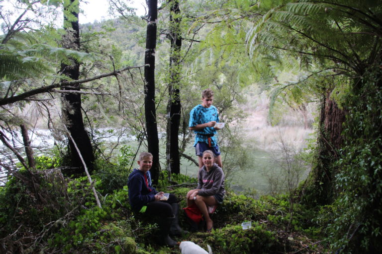 Nydia Track | On The Track Lodge | Nydia Bay Accommodation