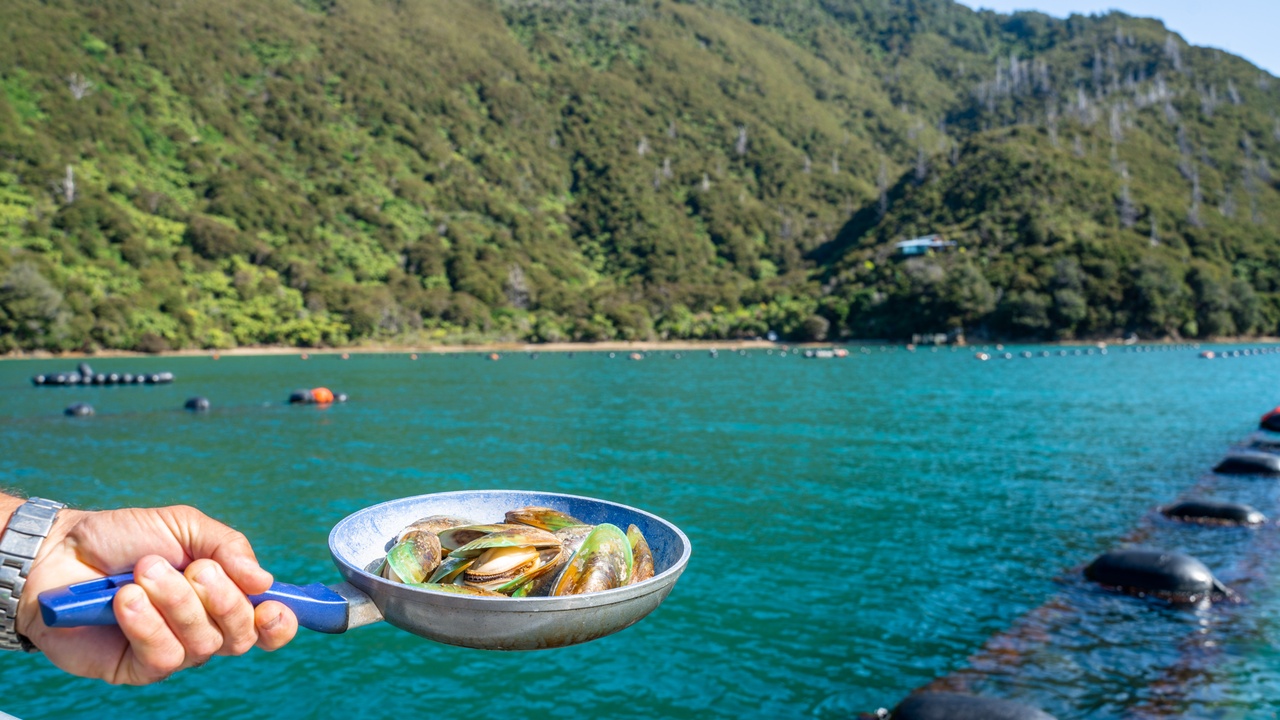 On The Track Lodge | Nydia Bay Accommodation | Marlborough Sounds