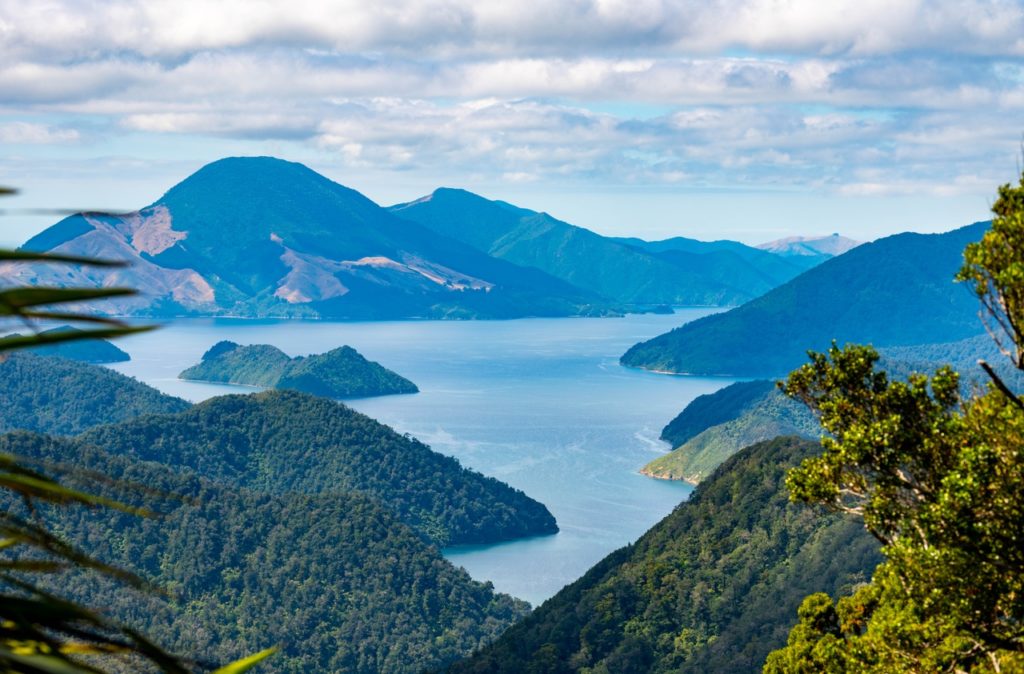 Nydia Bay | On the Track Lodge | Nydia Track | Pelorus Sound